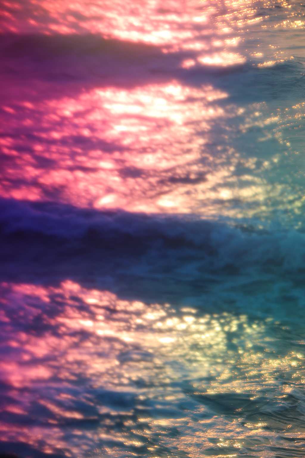 Shahriyar Photographer